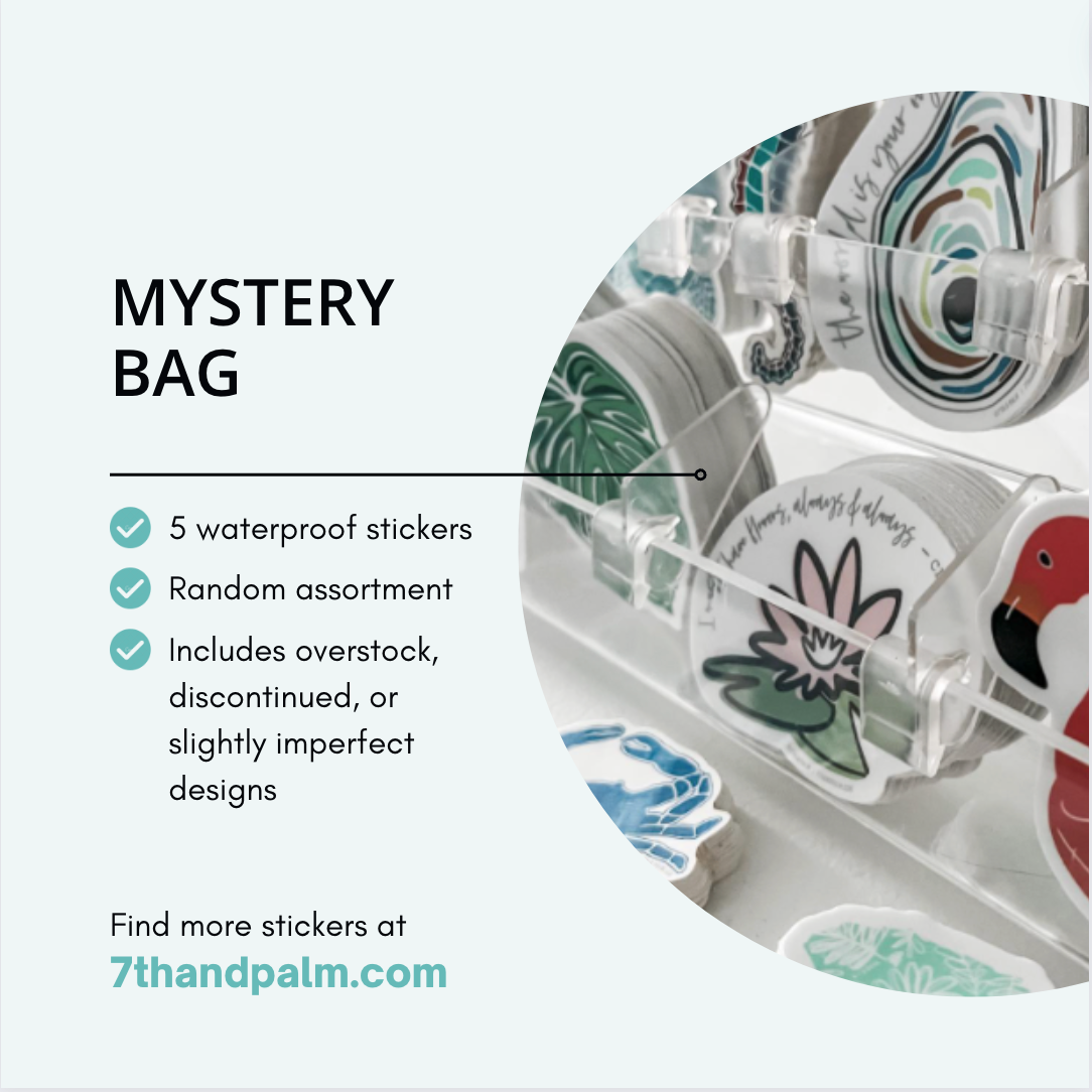 Mystery Bag: 5 Stickers – 7th & Palm, LLC
